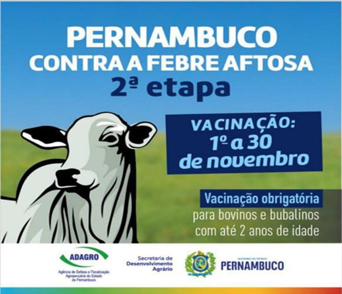 Segunda etapa de vacinação contra Febre Aftosa começa dia 1º de ...