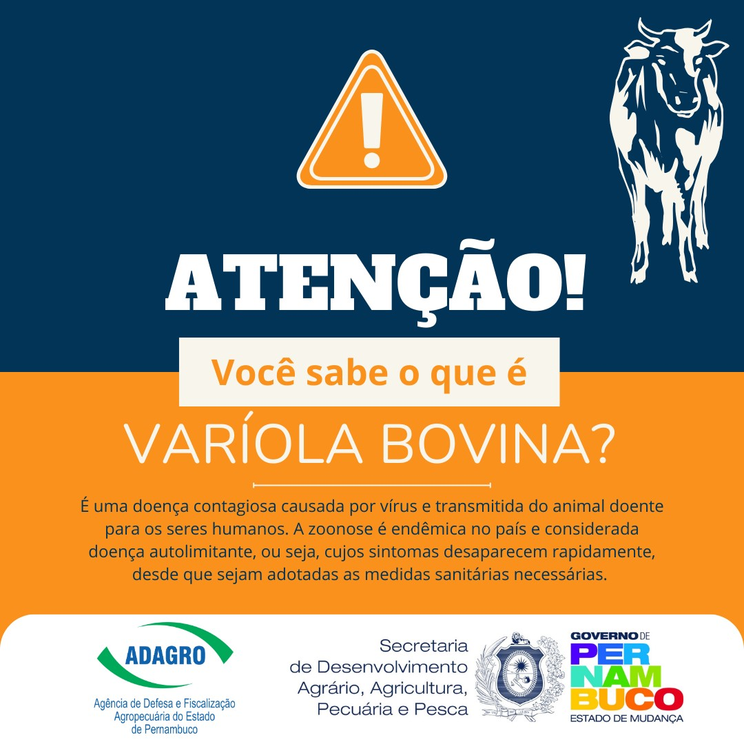 Varíola Bovina: Como combater a doença e proteger a população? - Adagro ...